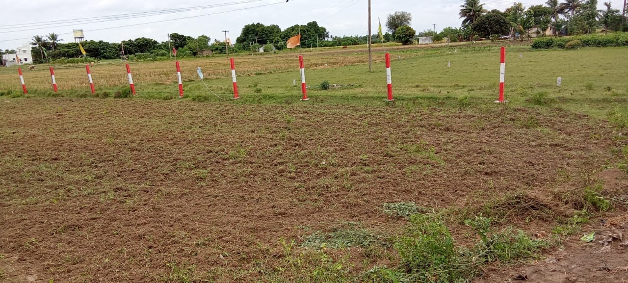 Stunning Plots in Sithalapakkam: 5 Unique Finds